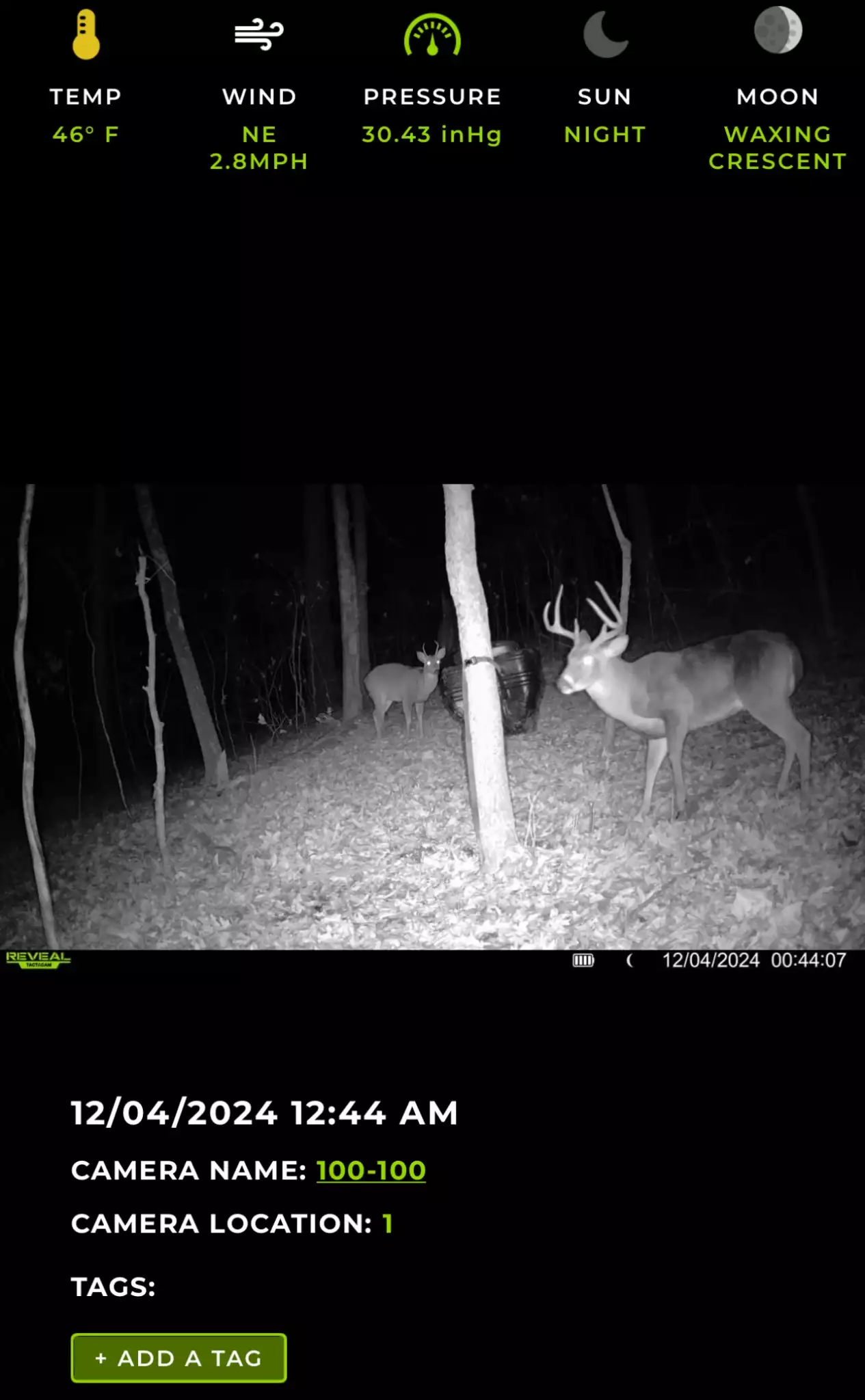 Allens Creek Rd, Hohenwald, TN 38462 – Craigwheeler